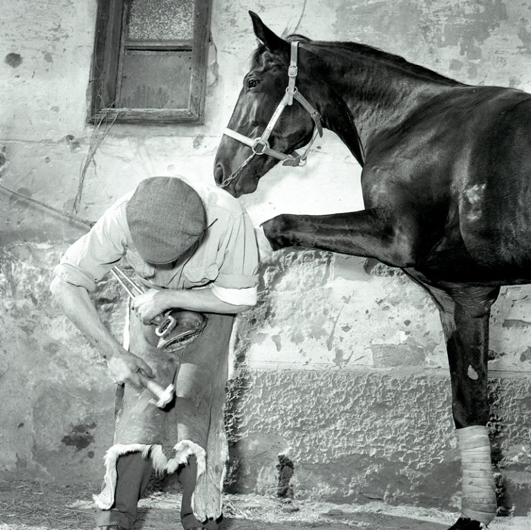 Archivio Adriano de Rota – Fototeca